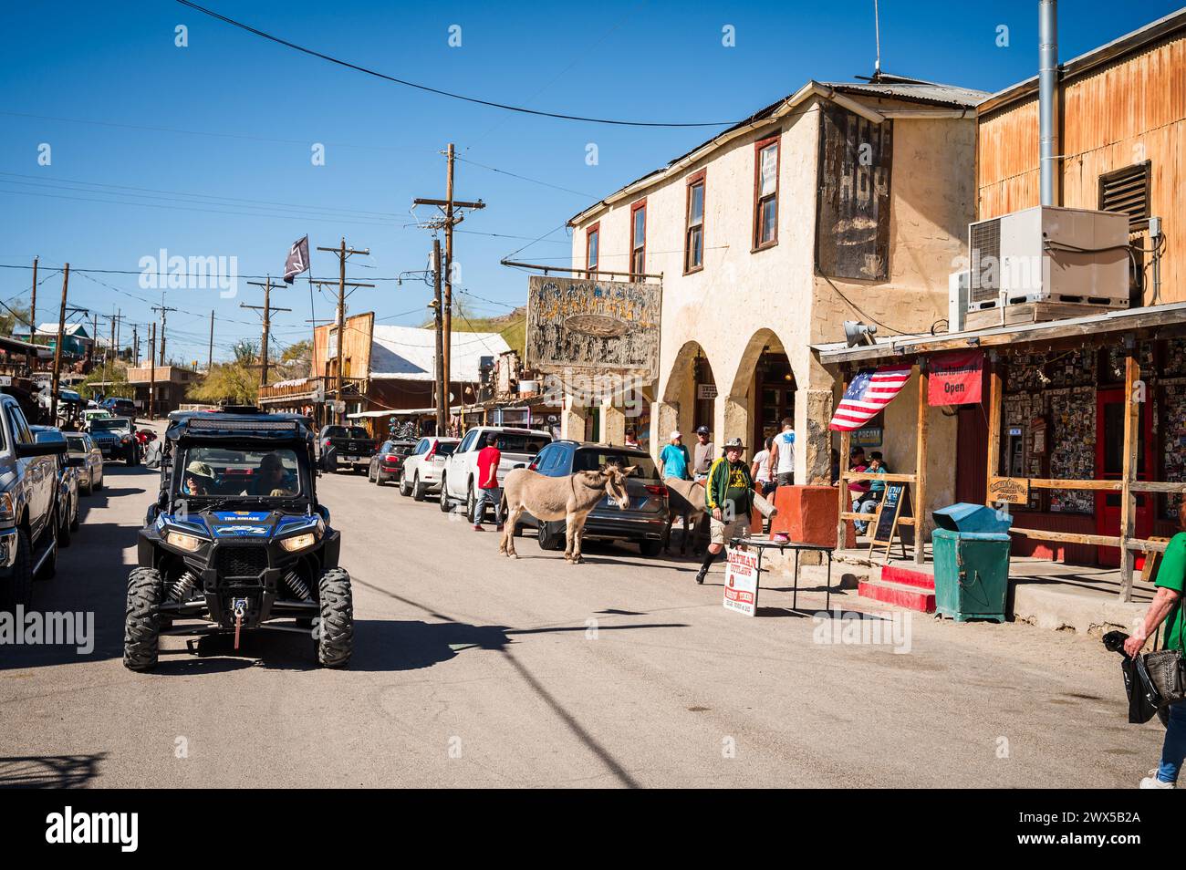 Wild burros walk through the historic gold mining town of Oatman ...