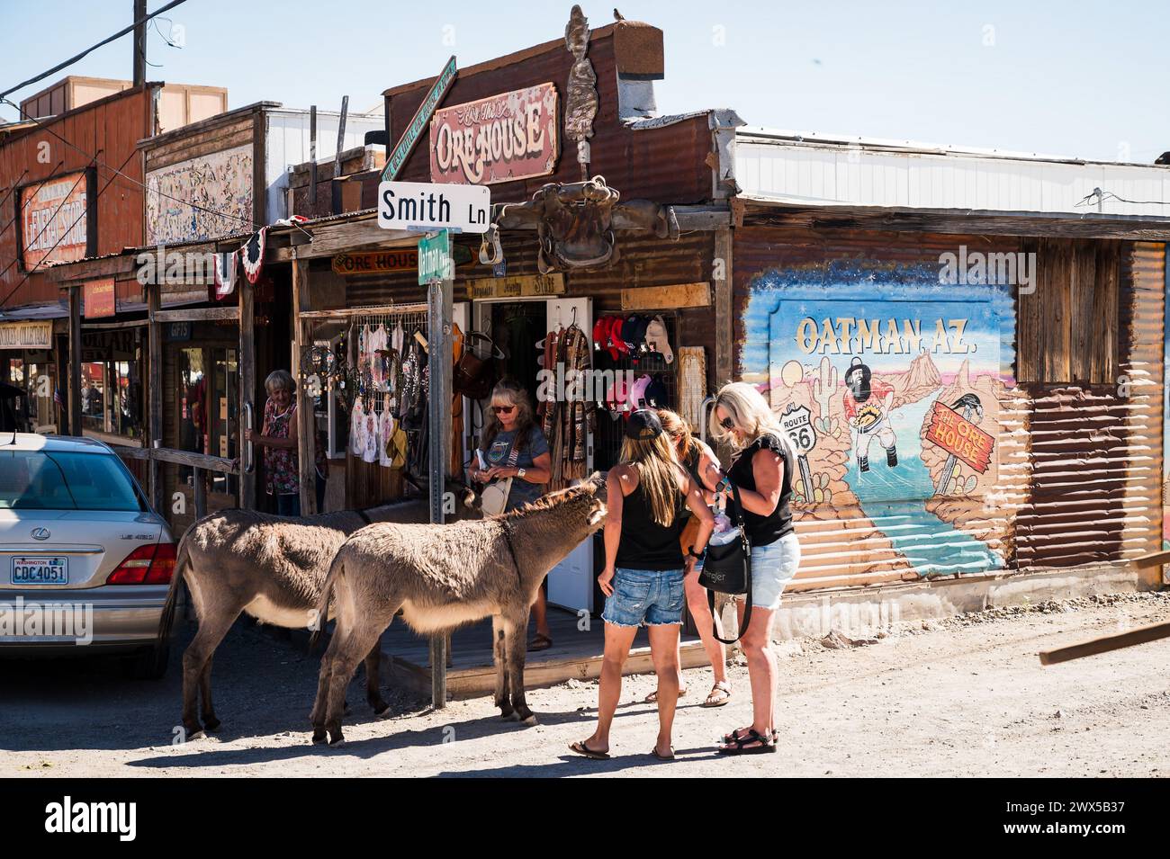 Wild burros walk through the historic gold mining town of Oatman ...