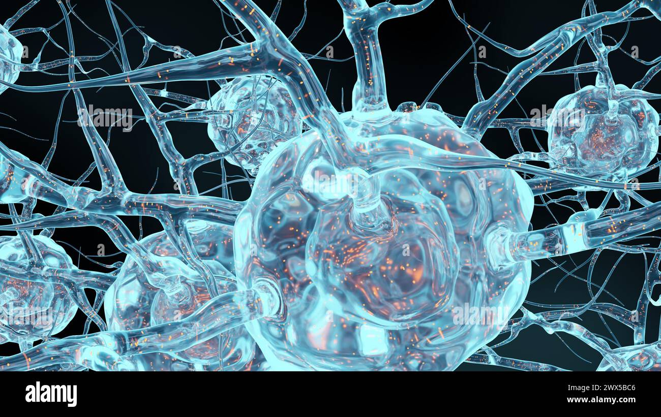 3d rendering of neuron or nerve cell is an electrically excitable cell ...