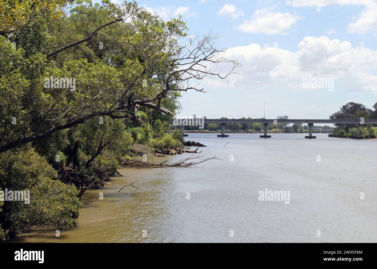 Burnett River with trees and a bridge in Bundaberg, Queensland ...