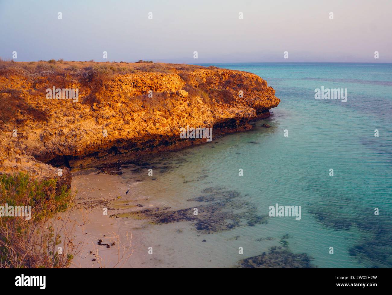 Small beach surrounded by coral outcrop on Moucha Island in the early ...
