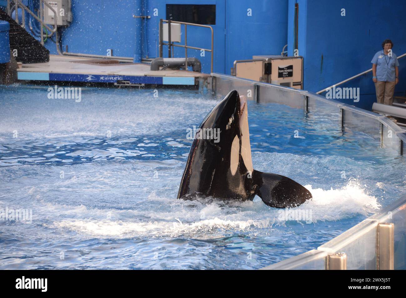 ORLANDO, FL - DECEMBER 20: Besieged theme park SeaWorld has launched ...