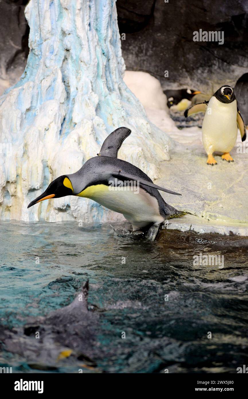 ORLANDO, FL - DECEMBER 20: Besieged theme park SeaWorld has launched ...