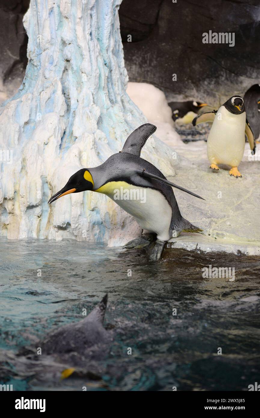 ORLANDO, FL - DECEMBER 20: Besieged theme park SeaWorld has launched ...