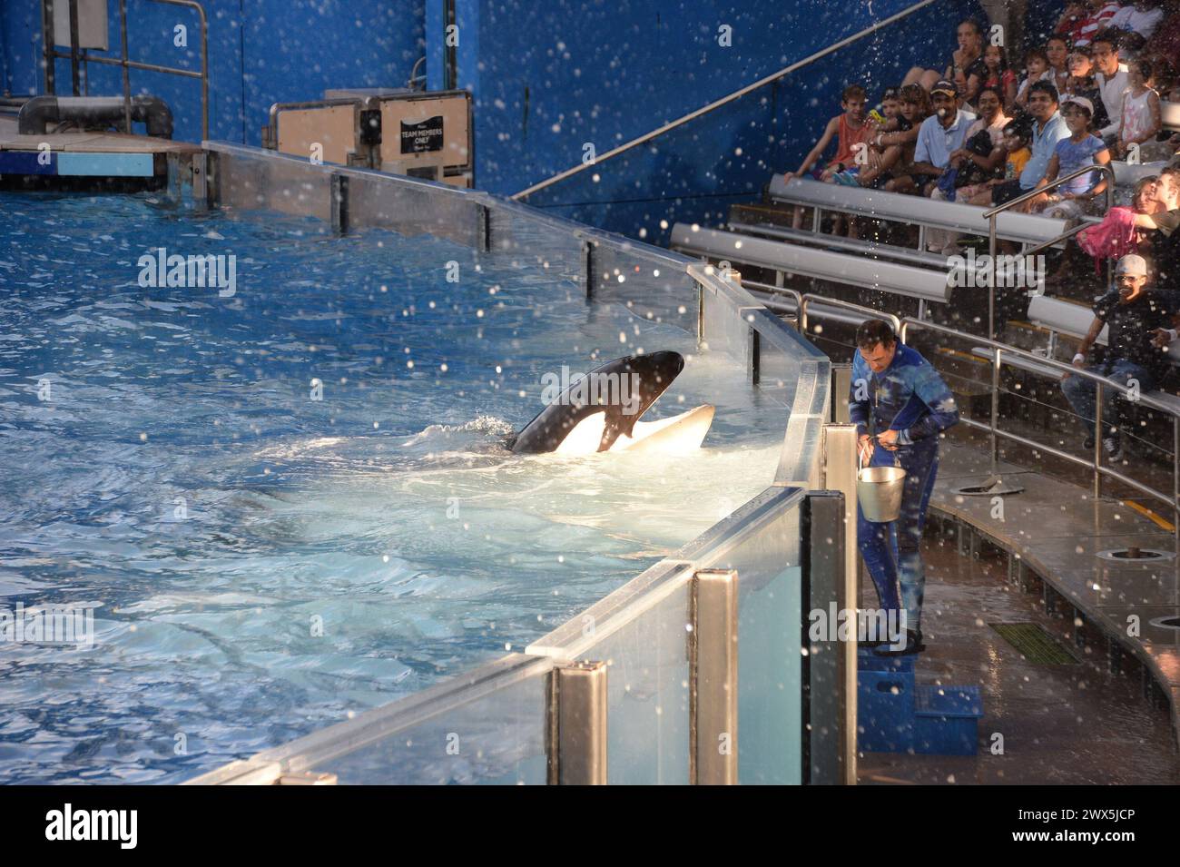 SMG Sea World FLXX Blackfish Xmas 122013 41.JPG ORLANDO, FL - DECEMBER ...