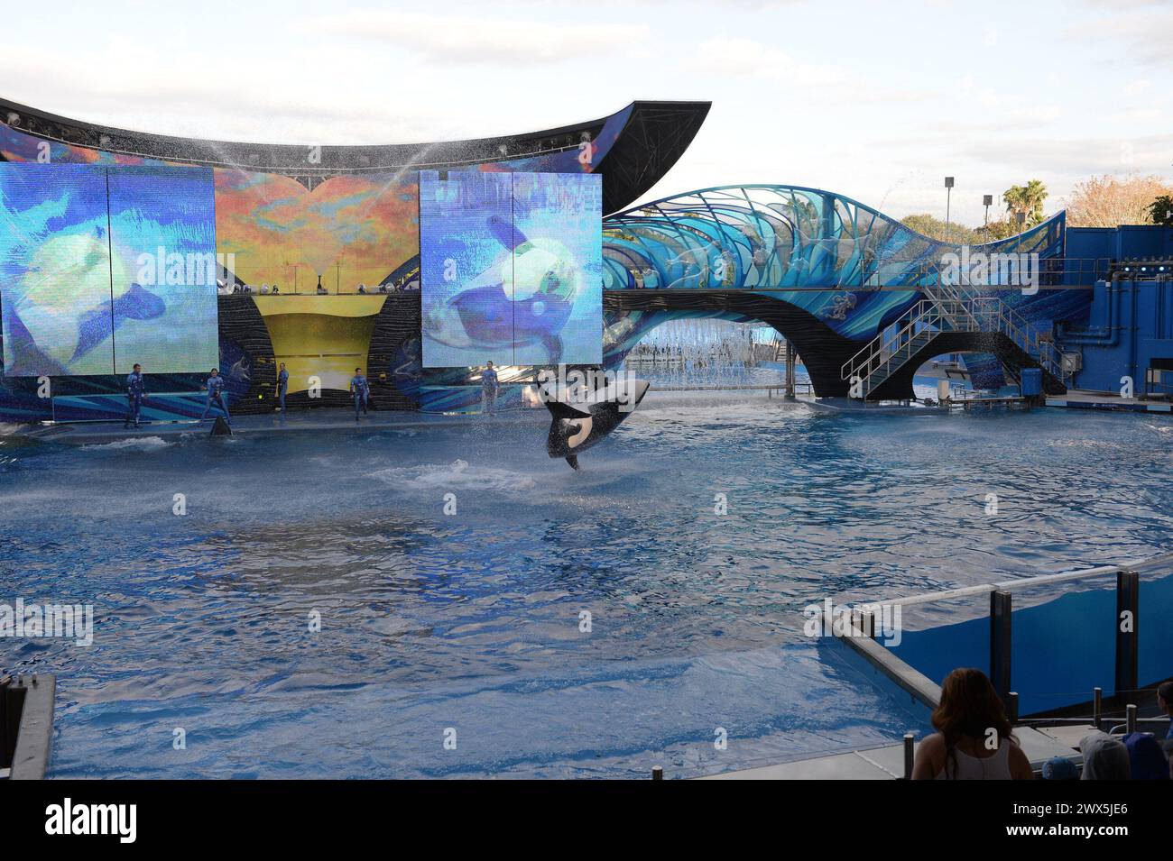 SMG Sea World FLXX Blackfish Xmas 122013 71.JPG ORLANDO, FL - DECEMBER ...