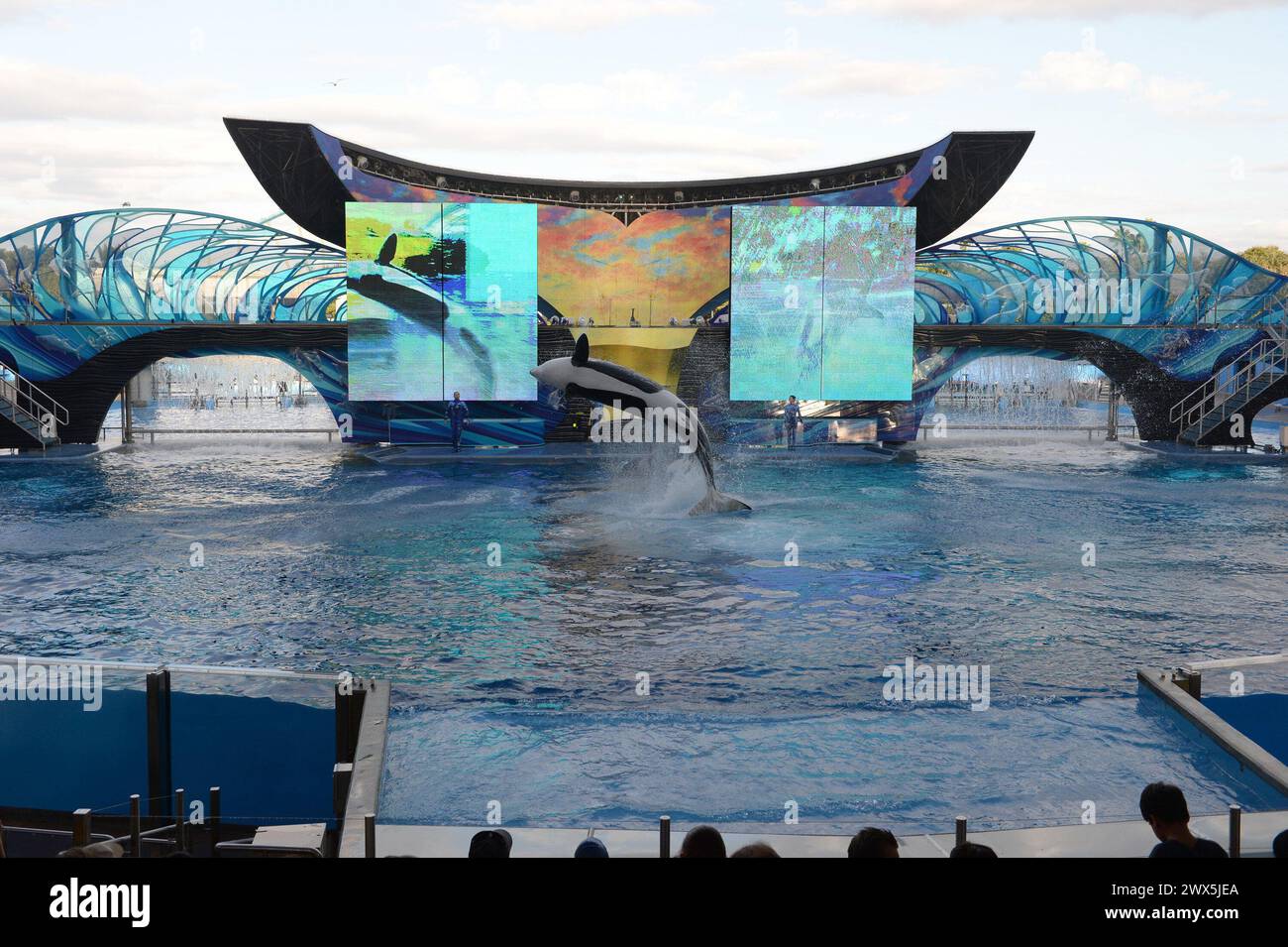 SMG Sea World FLXX Blackfish Xmas 122013 64.JPG ORLANDO, FL - DECEMBER ...