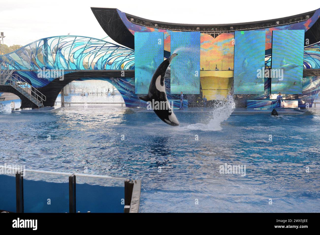 SMG Sea World FLXX Blackfish Xmas 122013 77.JPG ORLANDO, FL - DECEMBER ...