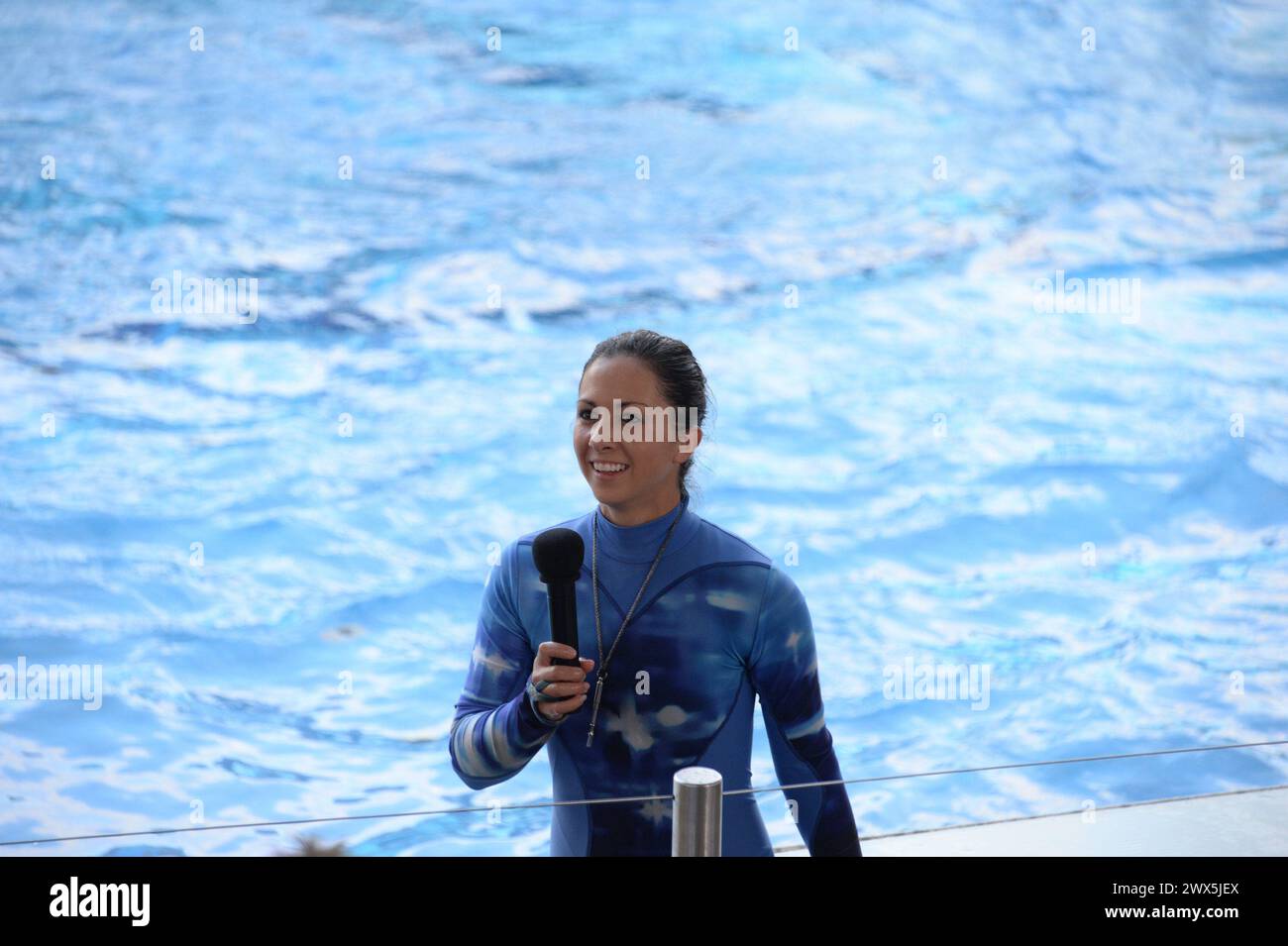 SMG Sea World FLXX Blackfish Xmas 122013 55.JPG ORLANDO, FL - DECEMBER ...
