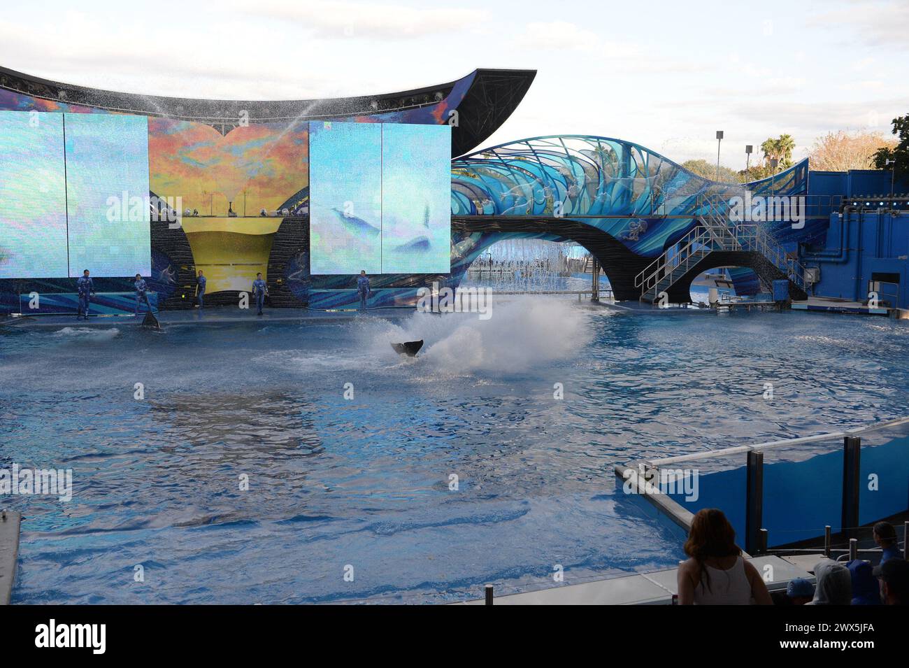 Blackfish sea world hi-res stock photography and images - Alamy