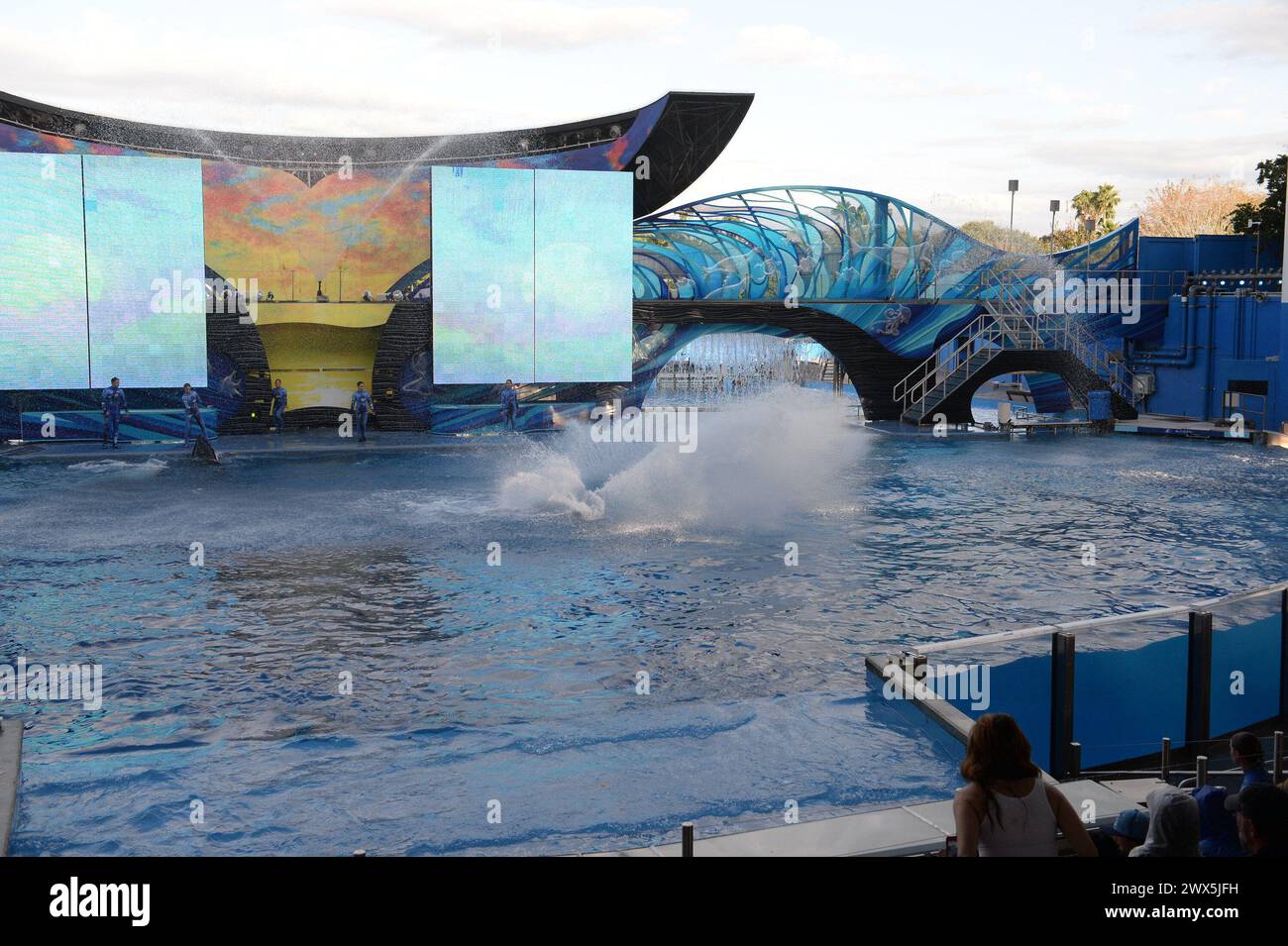 SMG Sea World FLXX Blackfish Xmas 122013 74.JPG ORLANDO, FL - DECEMBER ...