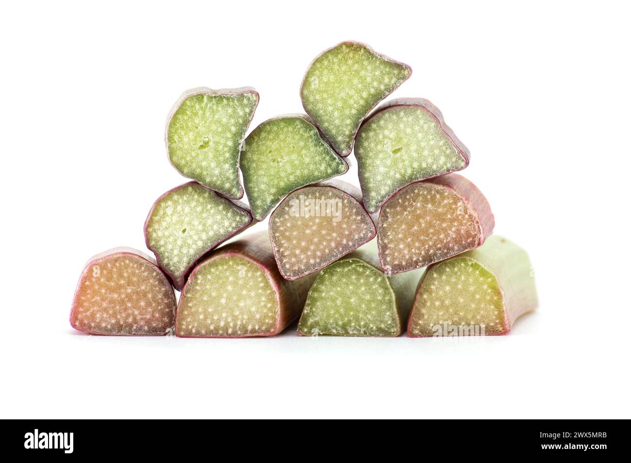 Rhubarb stalks of varying colors from pale green to deep red isolated ...