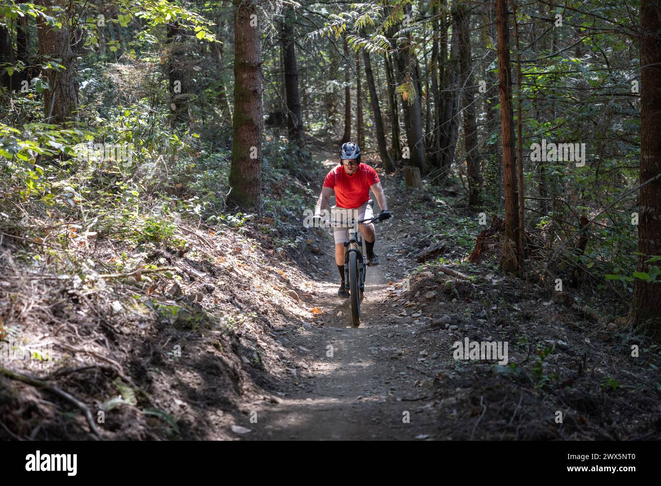 Biking in forest hi-res stock photography and images - Alamy