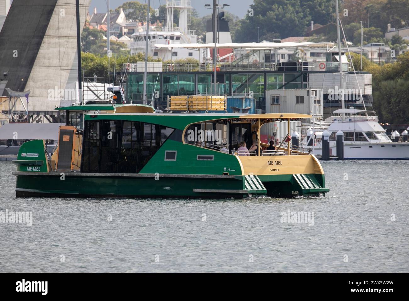 Blackwattle hi-res stock photography and images - Alamy