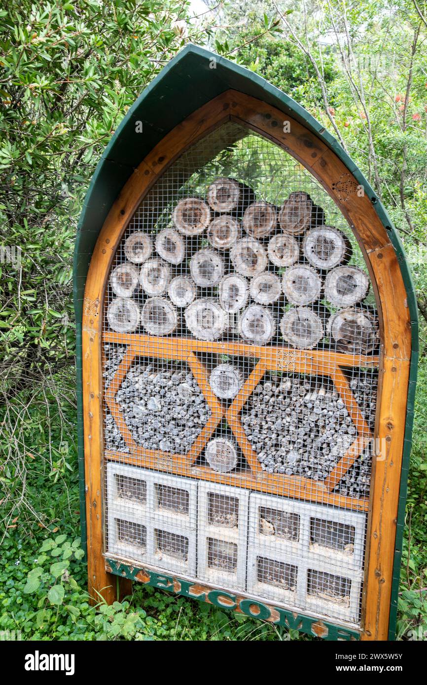 Bee habitat created by City of Sydney to encourage bees to create a ...