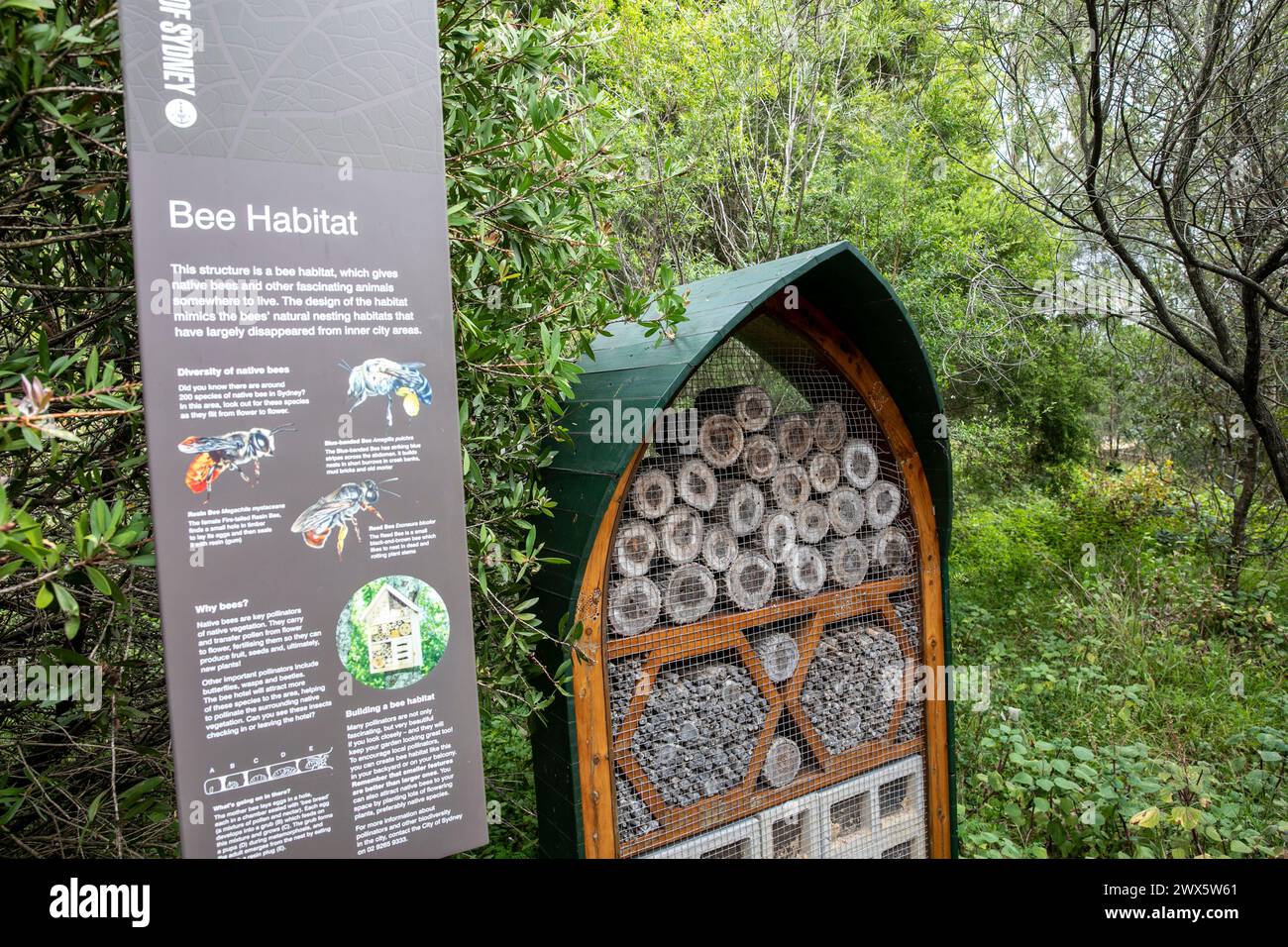 Bee habitat created by City of Sydney to encourage bees to create a ...