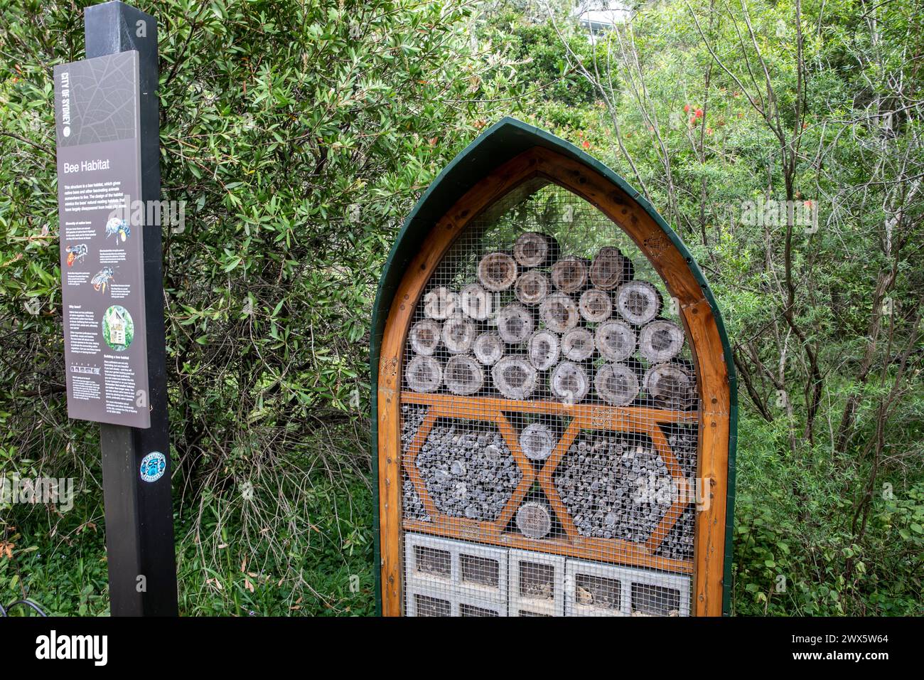 Bee habitat created by City of Sydney to encourage bees to create a ...
