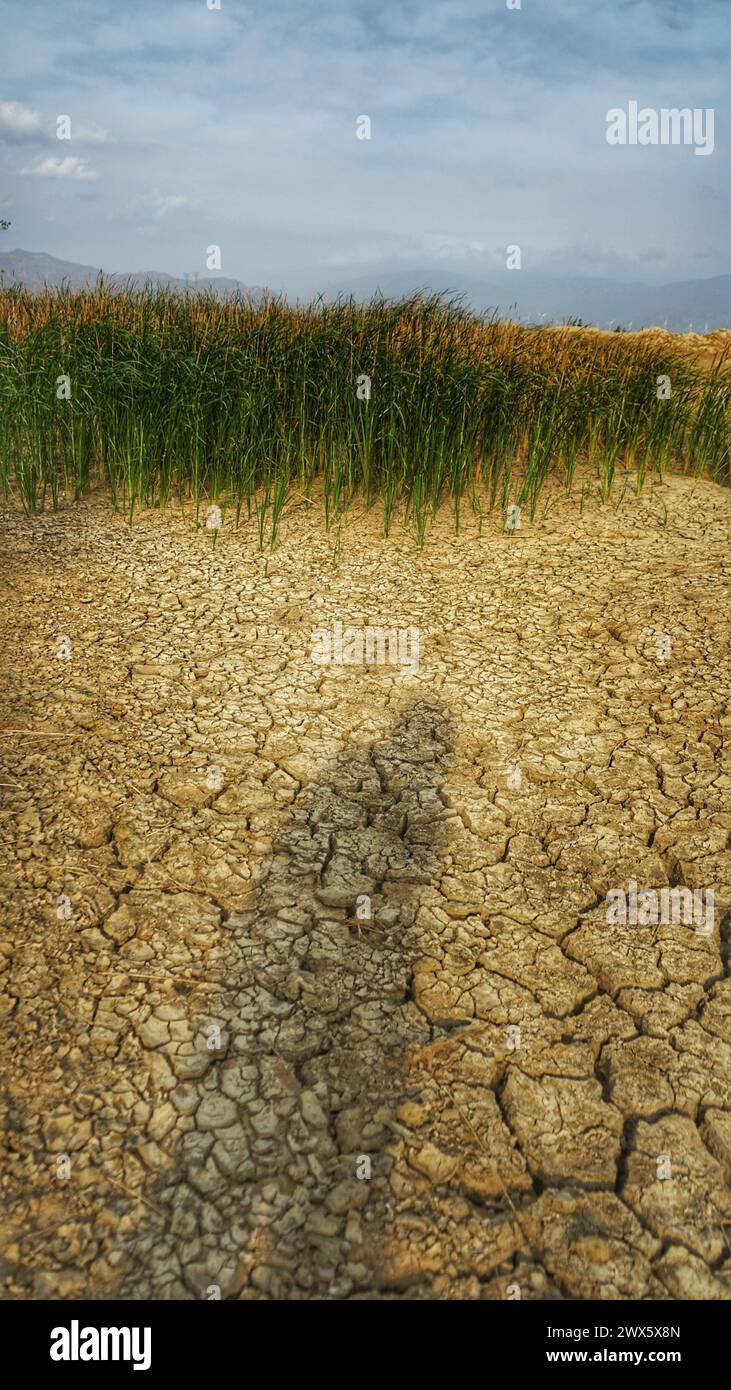 Soil drought cracked landscape on sunset sky Stock Photo - Alamy