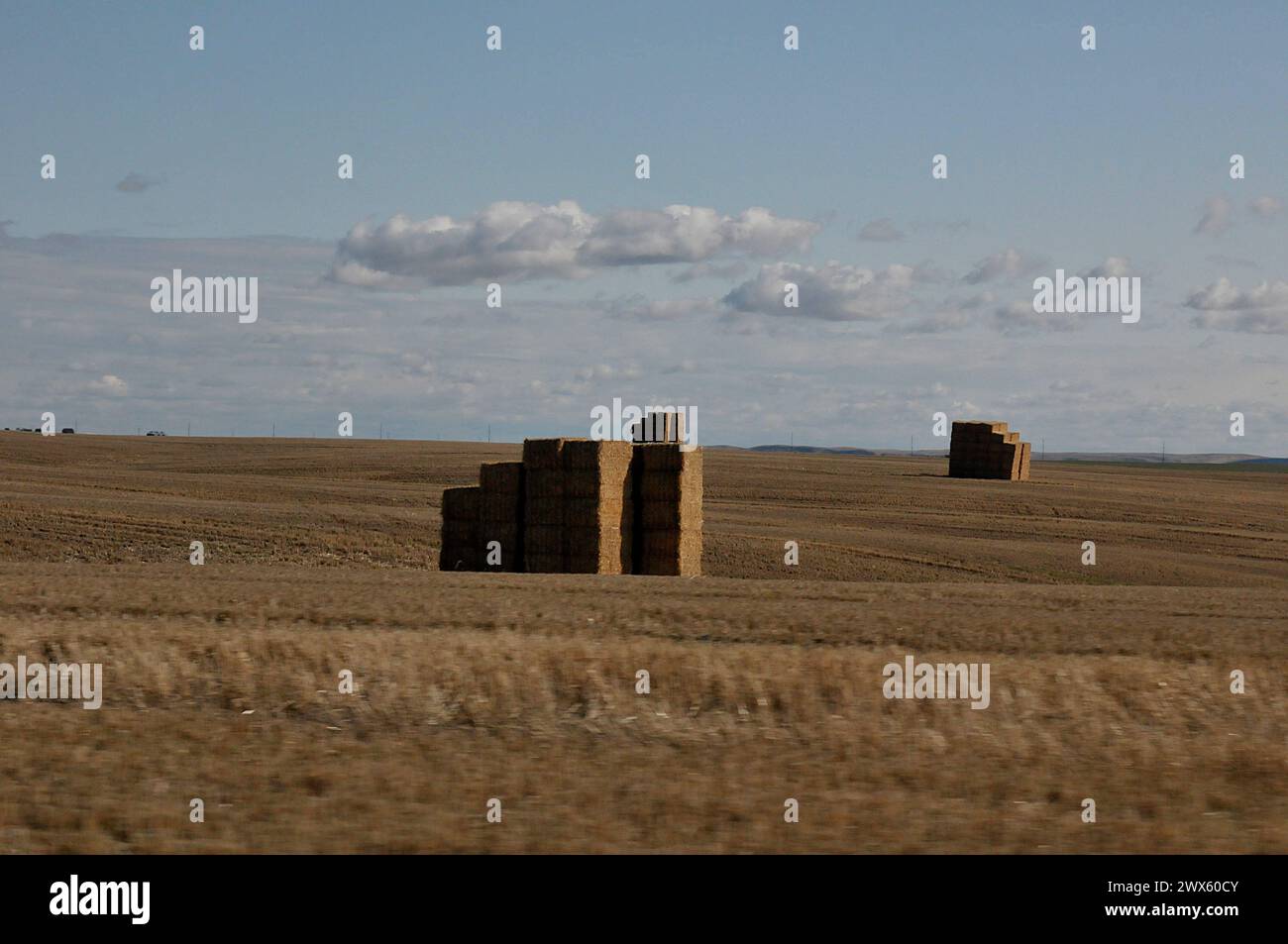 RULAR AMERICA /WASHINGTON//USA / 05.October 2019 /Phoographing rular ...