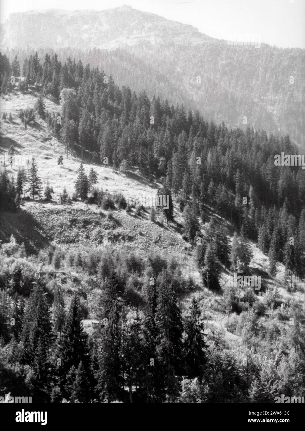 Germany 1956 hi-res stock photography and images - Alamy