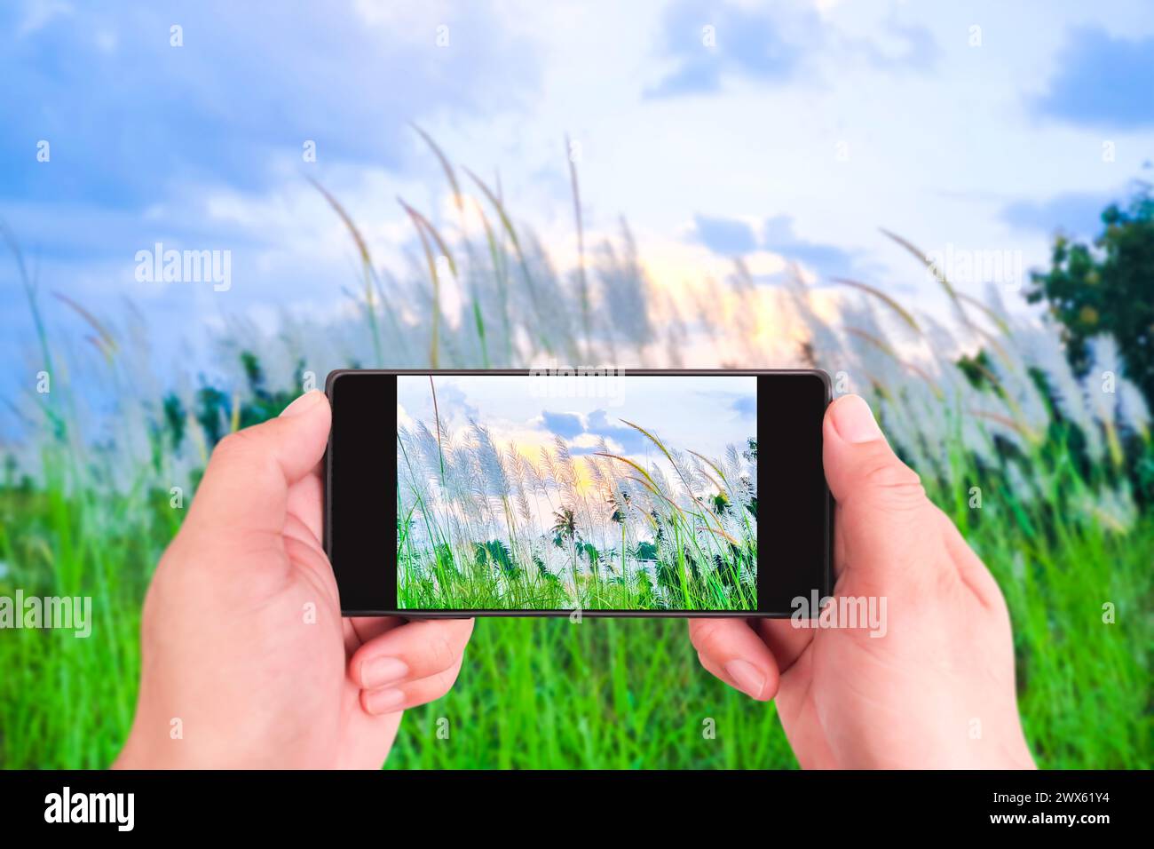 Clear image on screen taken with smartphone in human hand, Smartphone ...