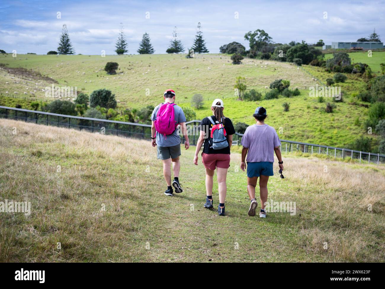 Hiking Shakespear Regional Park. Auckland Region. New Zealand Stock Photo - Alamy