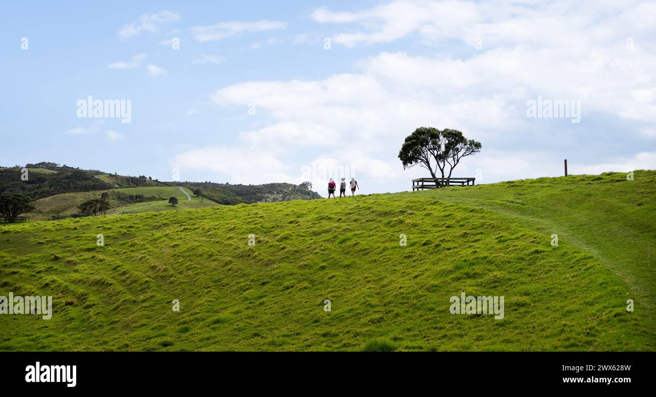 People walking at Shakespear Regional Park. Auckland Region Stock Photo ...