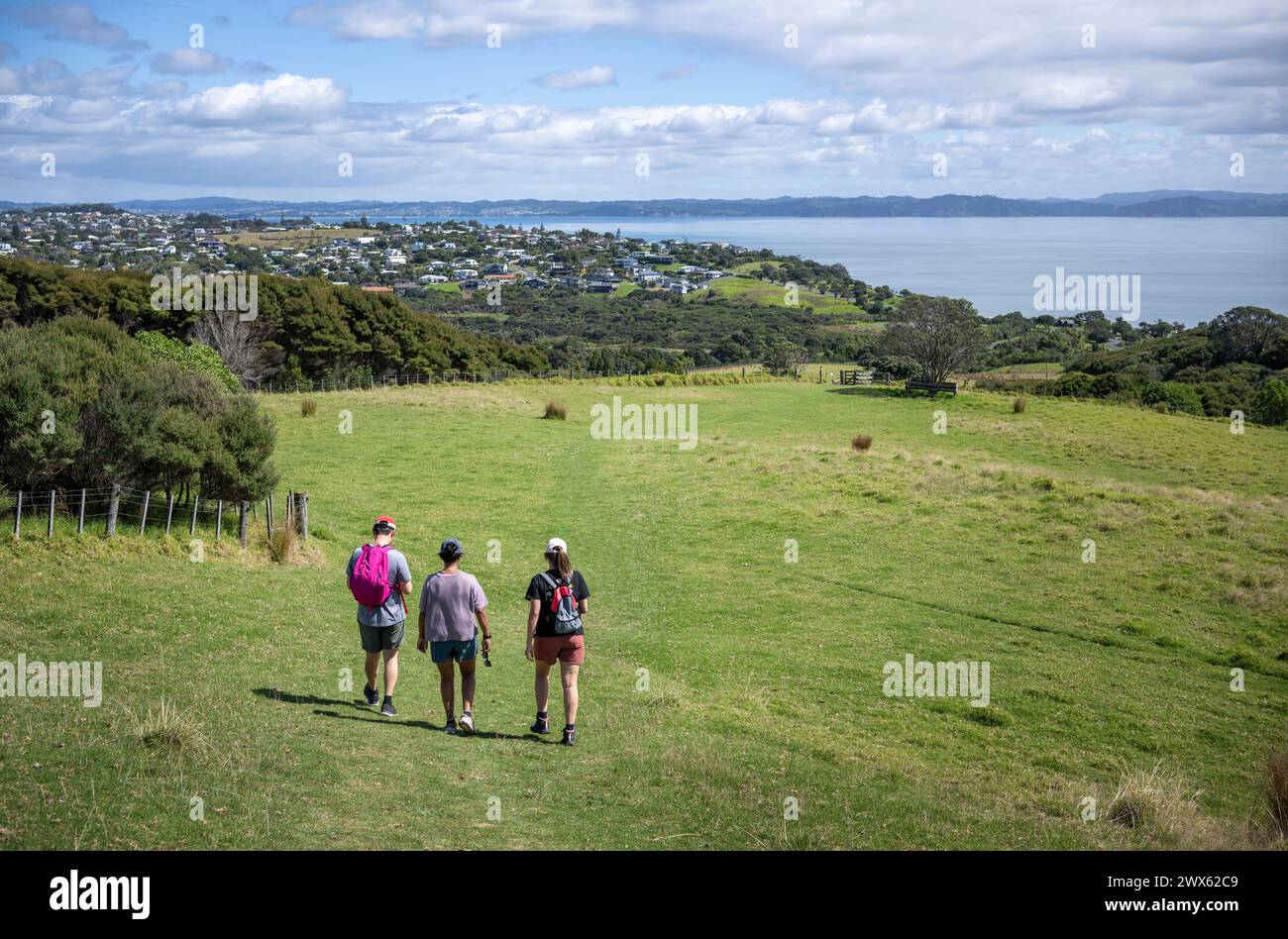 People walking across farmland to panoramic views of the Hauraki Gulf ...