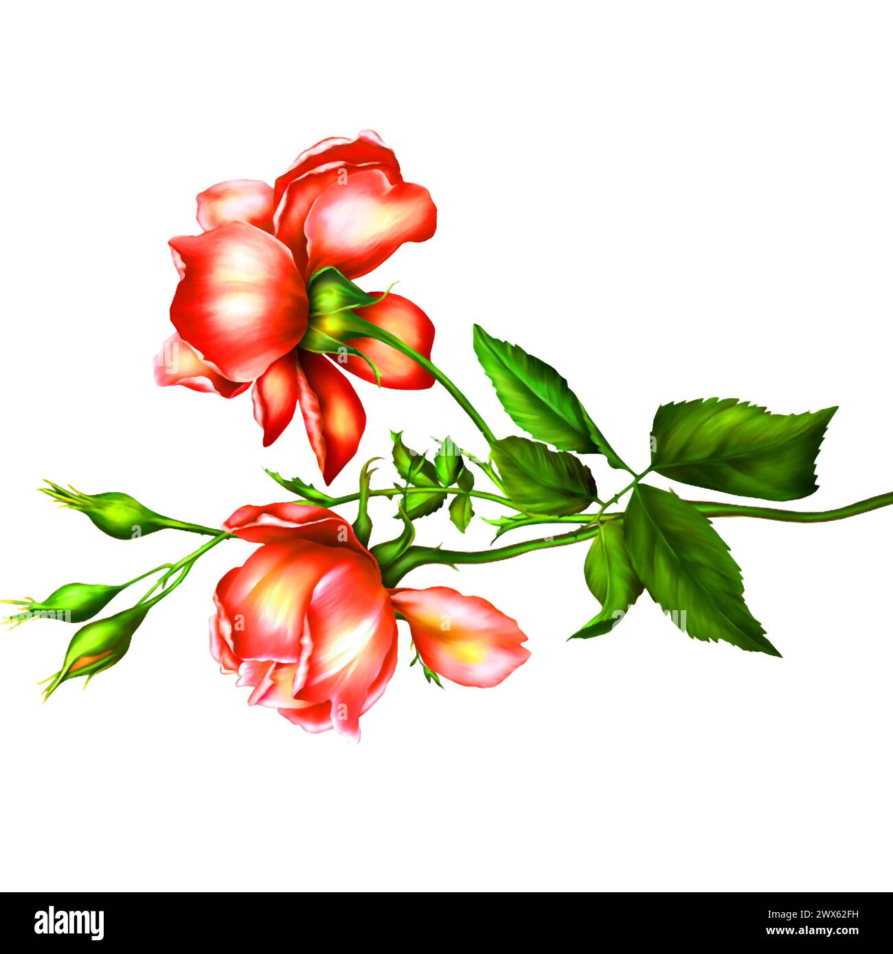 Digital Textile Design Motif Colorful Stock. Decorative elegant luxury ...