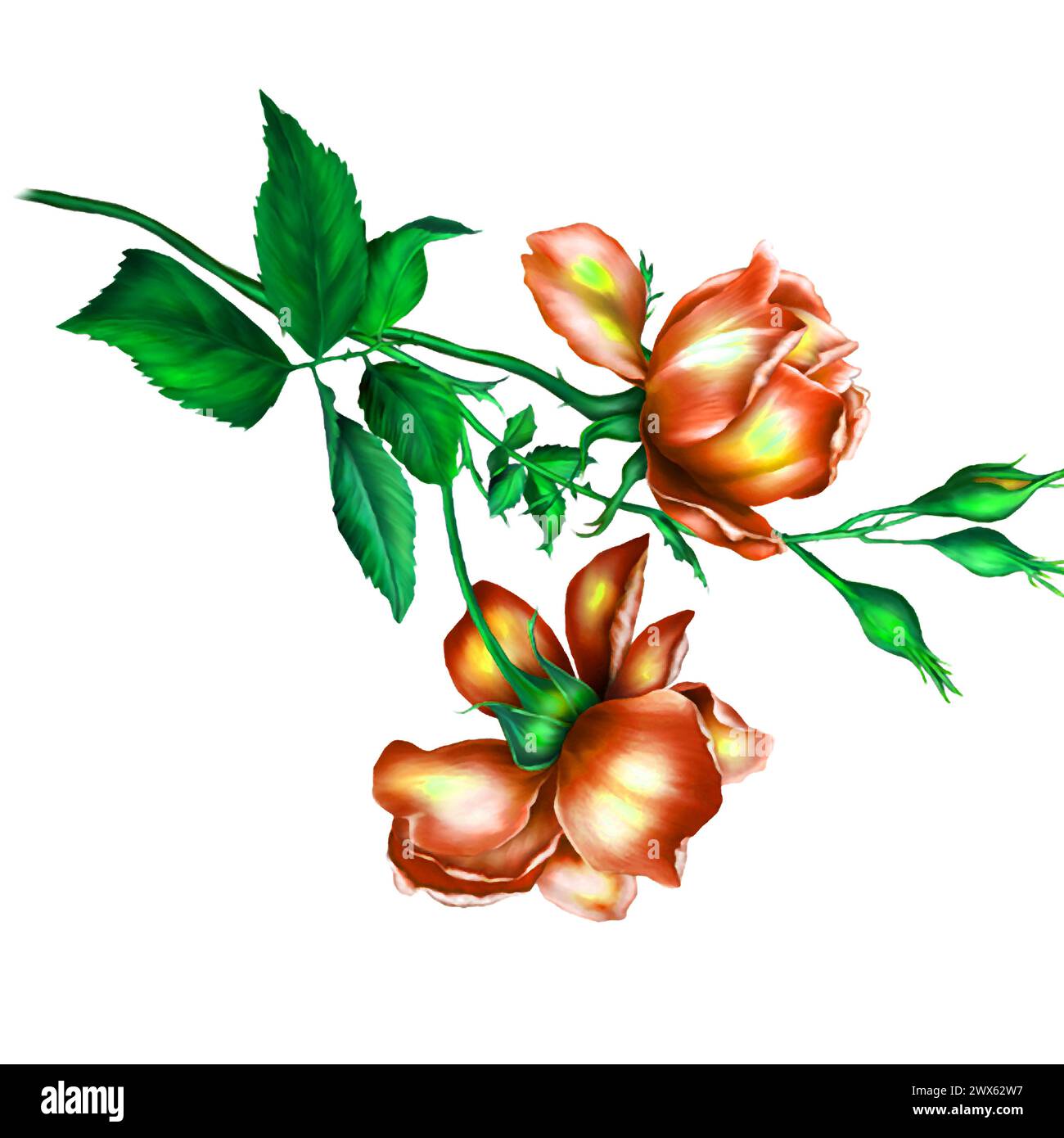 Digital Textile Design Motif Colorful Stock. Decorative elegant luxury ...