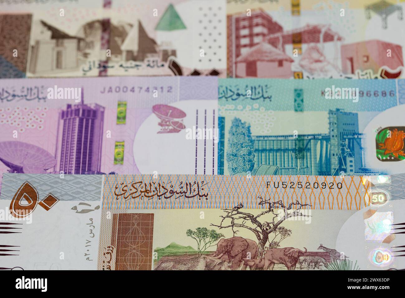 Sudanese money - pound a business background Stock Photo - Alamy