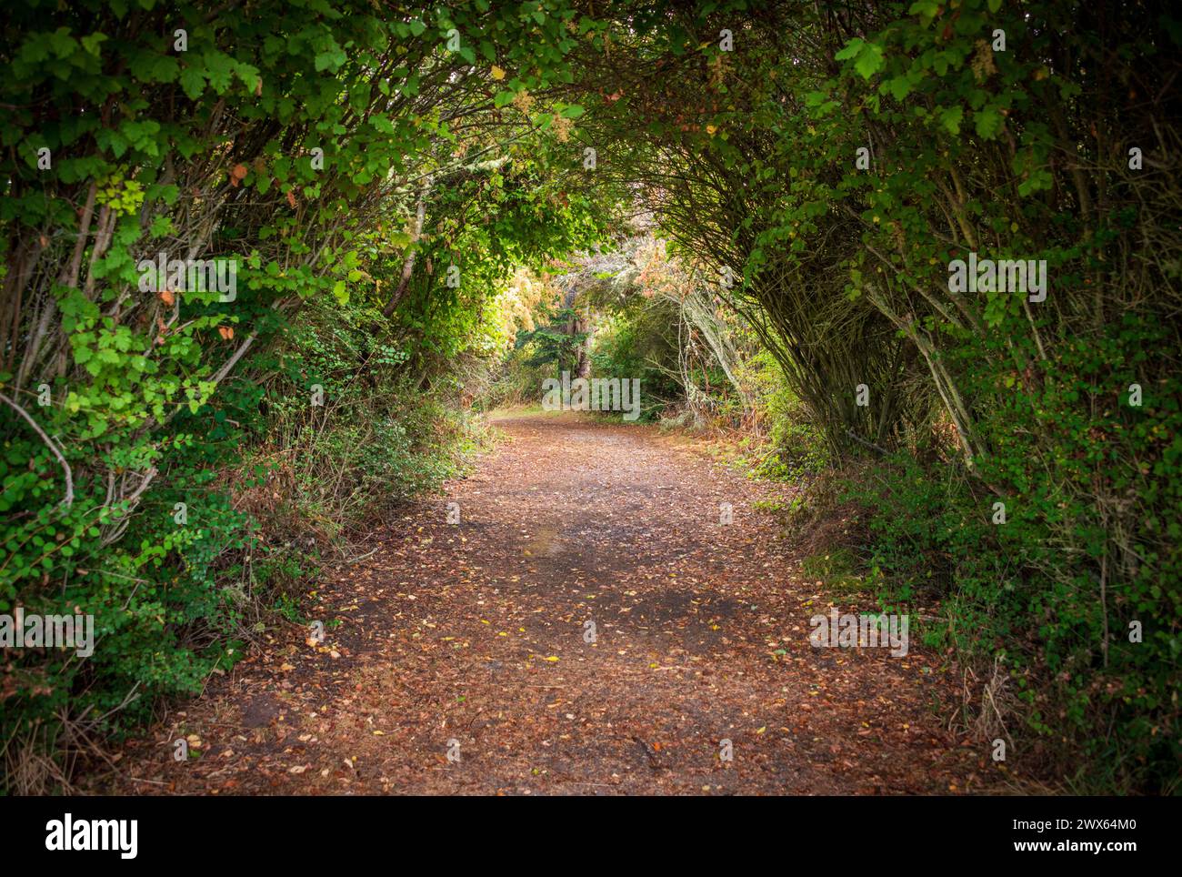 Fort Casey State Park on Whidbey Island, in Island County, Washington ...