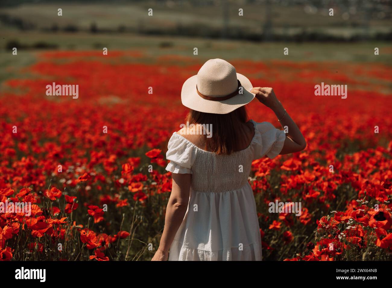 Field of poppies woman. Happy woman in a wight dress and hat stand ...