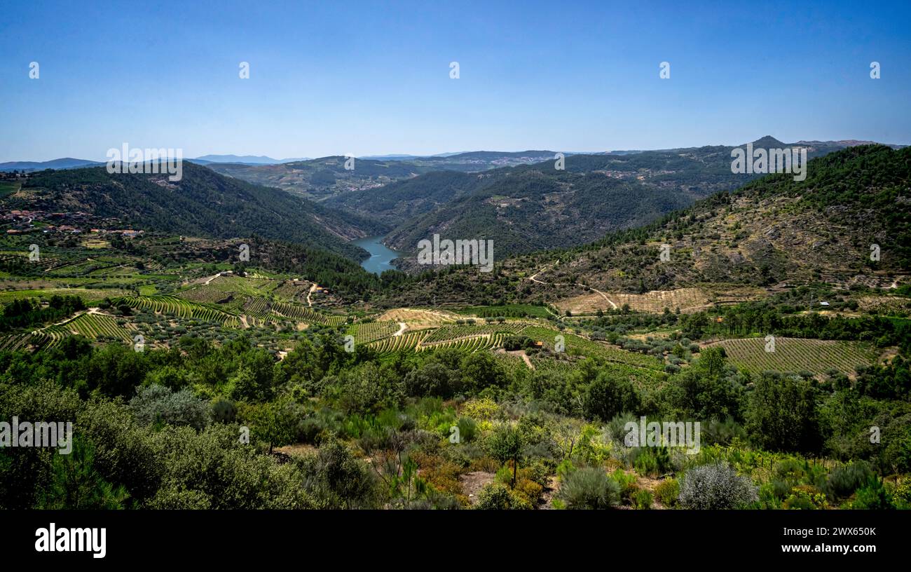 Douro River from the Tua Valley, Tras-os-Montes, Portugal. July 2021 ...