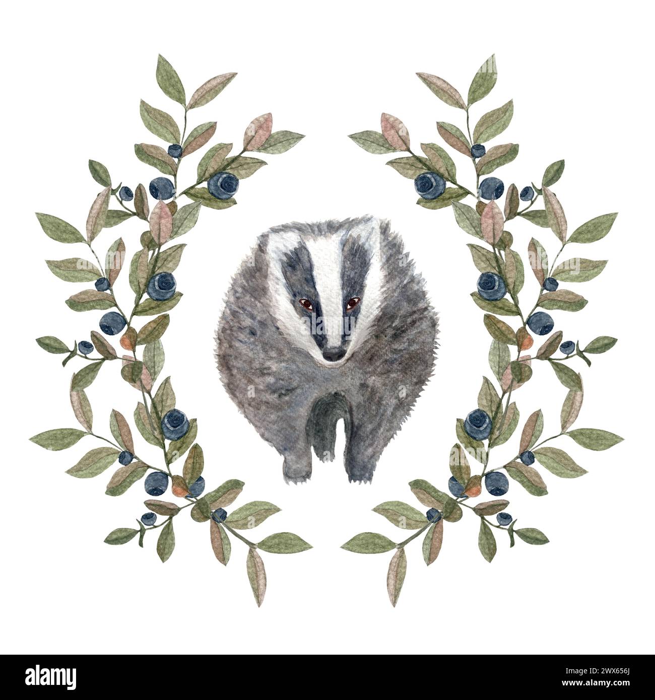 Badger in a blueberry frame watercolor flat illustration isolated on ...