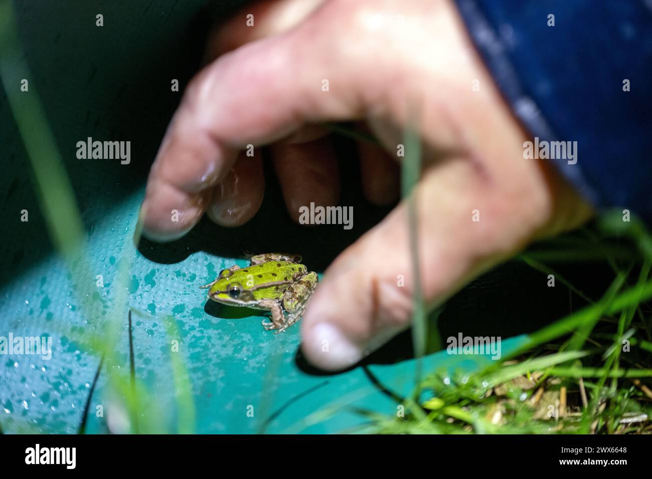 Jesserndorf hi-res stock photography and images - Alamy