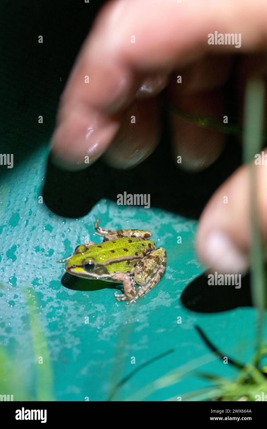 Jesserndorf, Germany. 27th Mar, 2024. A volunteer from the Bund ...
