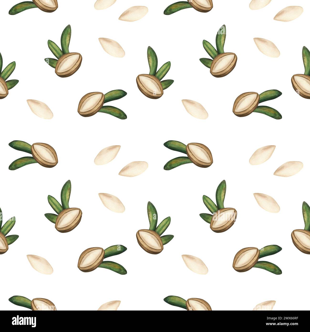 Seamless pattern of Argan tree seeds. Brown Argan nut with leaves ...