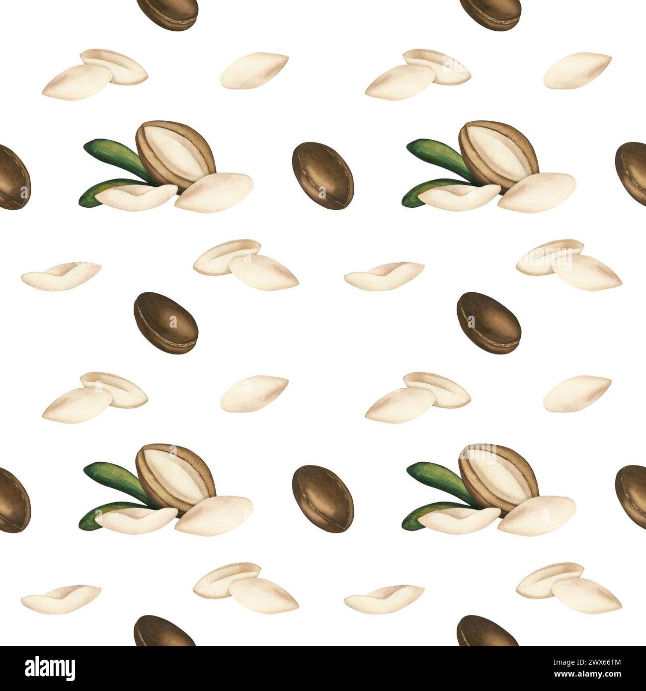 Seamless pattern of Argan tree seeds. Brown Argan nut with leaves ...