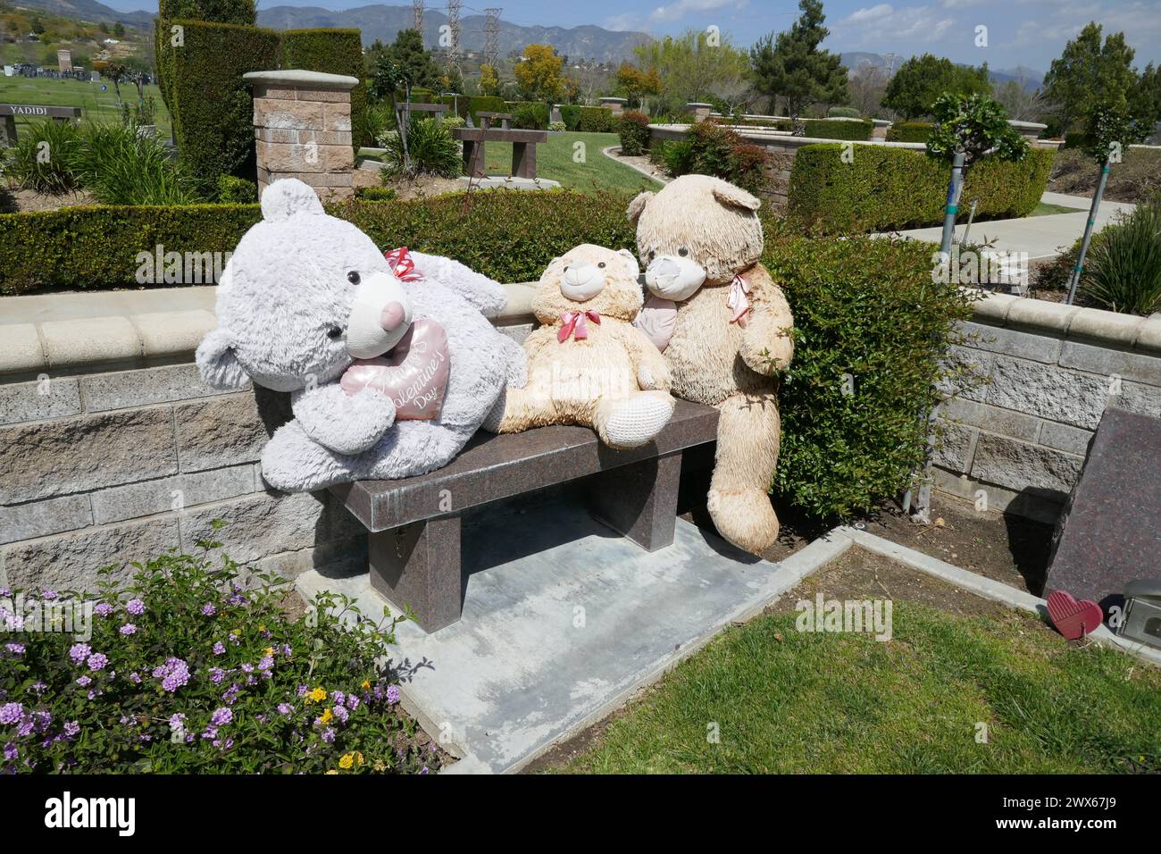 Mission Hills, California, USA 26th March 2024 Giant Teddy Bears at ...