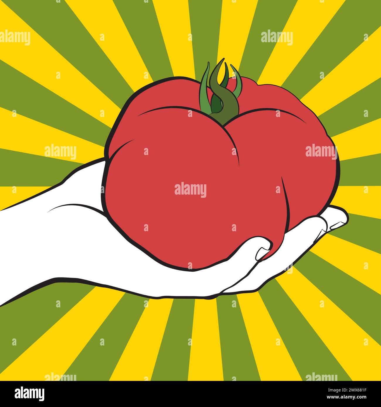 lllustrated big ox heart tomato held in hand in pop art style Stock Vector Image & Art - Alamy