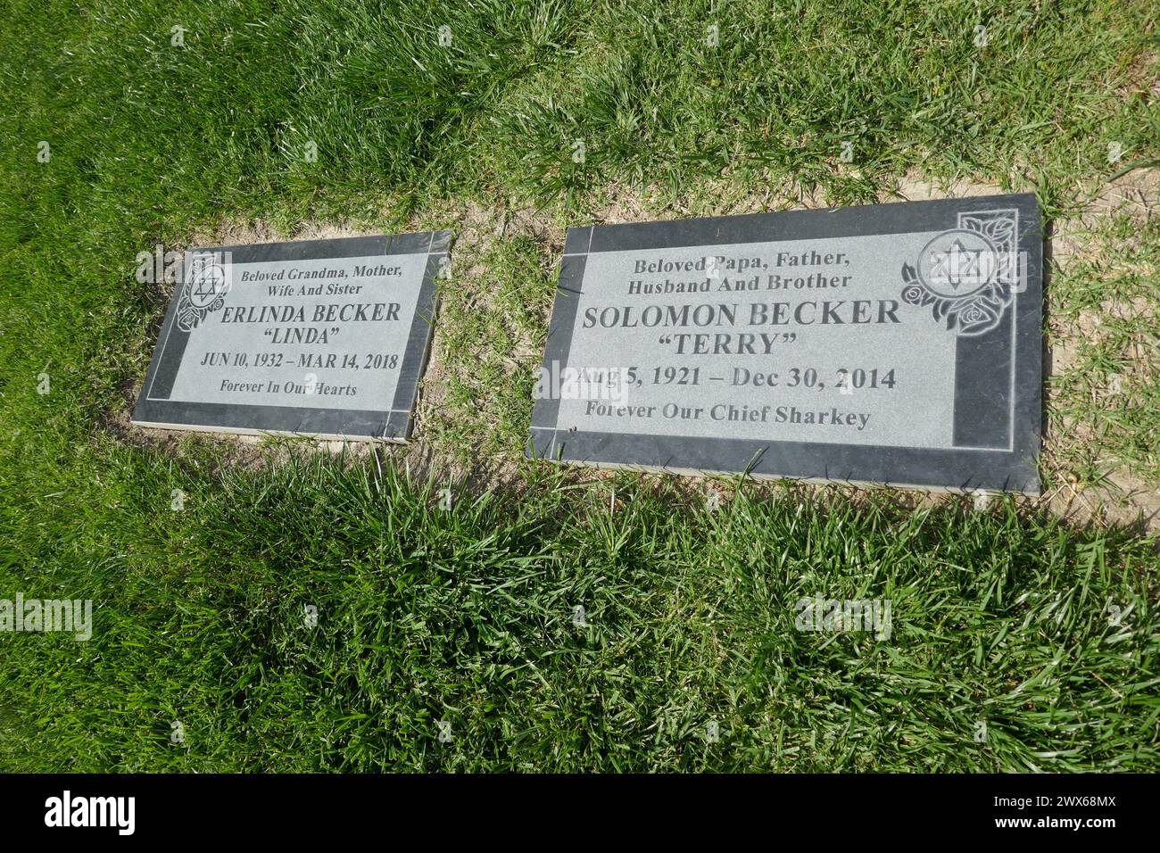 Mission Hills, California, USA 26th March 2024 Actor/Director/Producer ...