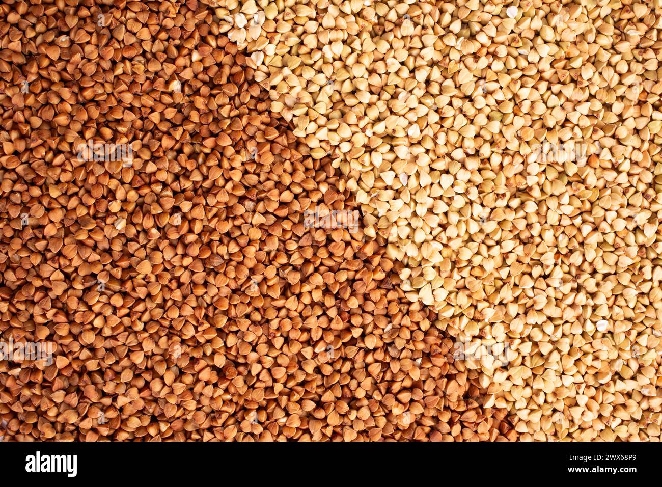 Green and fried buckwheat grains. Healthy vegetarian food concept Stock ...
