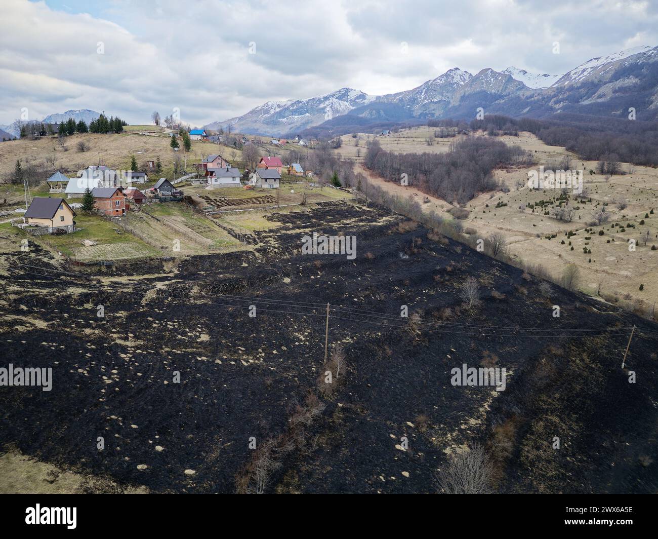 Burned field next to houses. Dark land caused by fire. Forest fire ...
