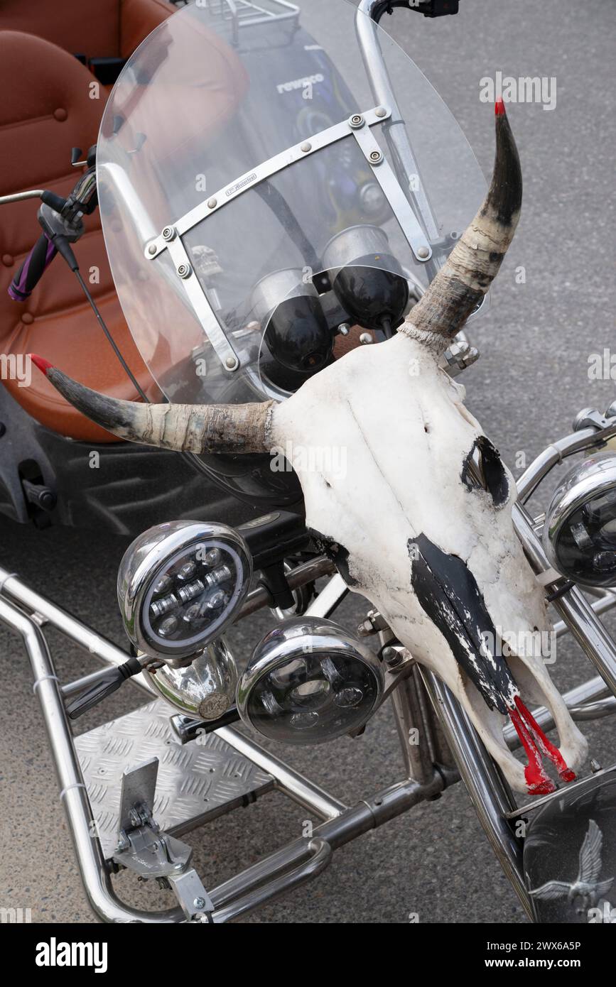 Motorcycle With Bull Cow Skull on Handlebars Stock Photo - Alamy