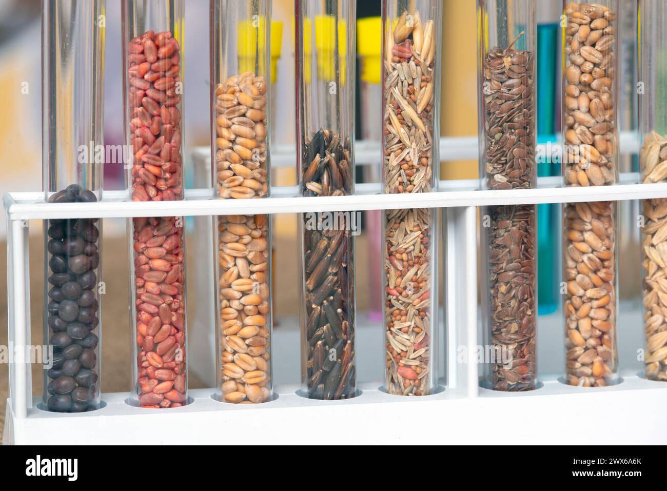 Packet analysis hi-res stock photography and images - Alamy