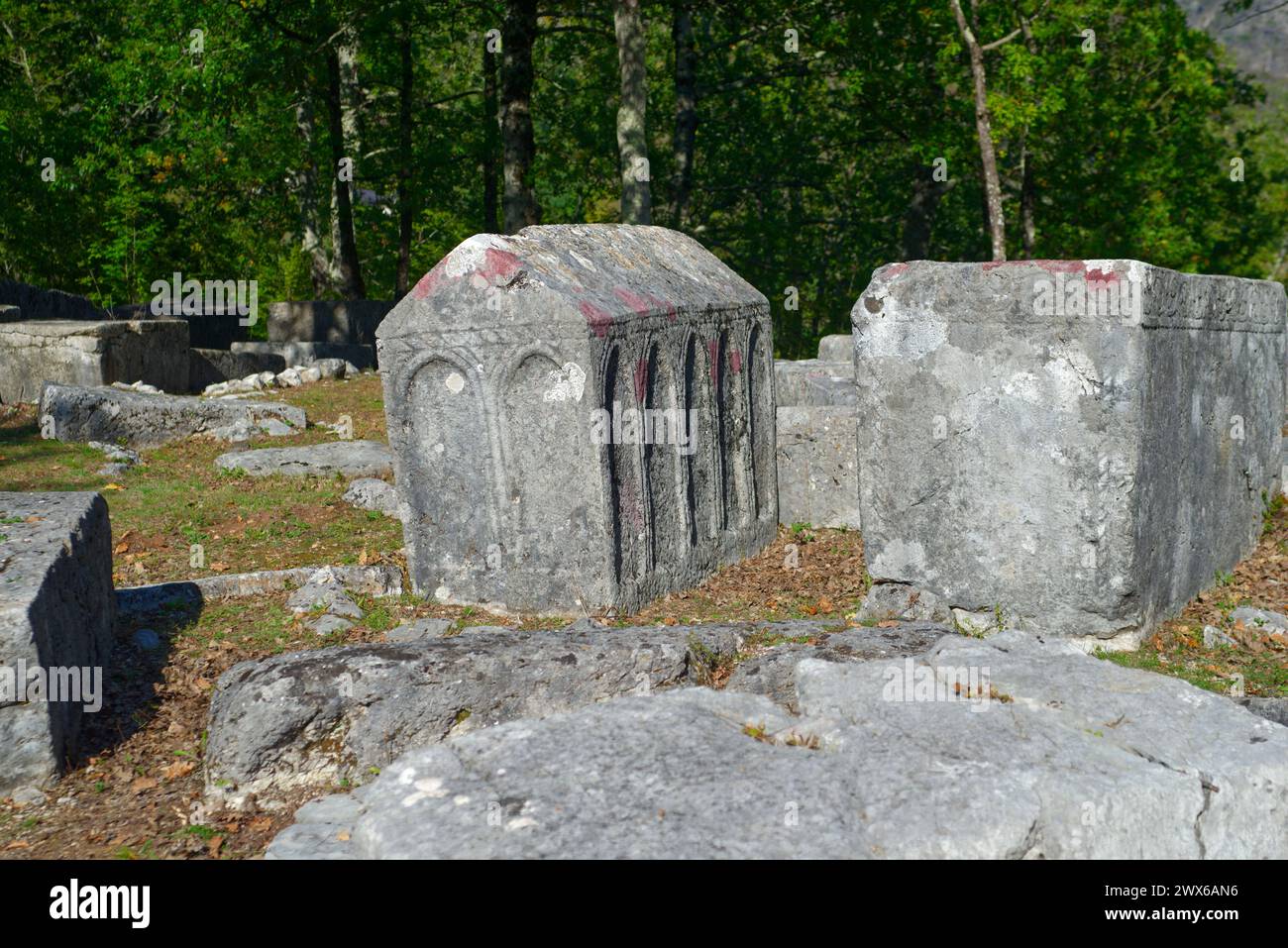 Stecci Medieval Tombstones Graveyards in Biskup, Bosnia and Herzegovina ...