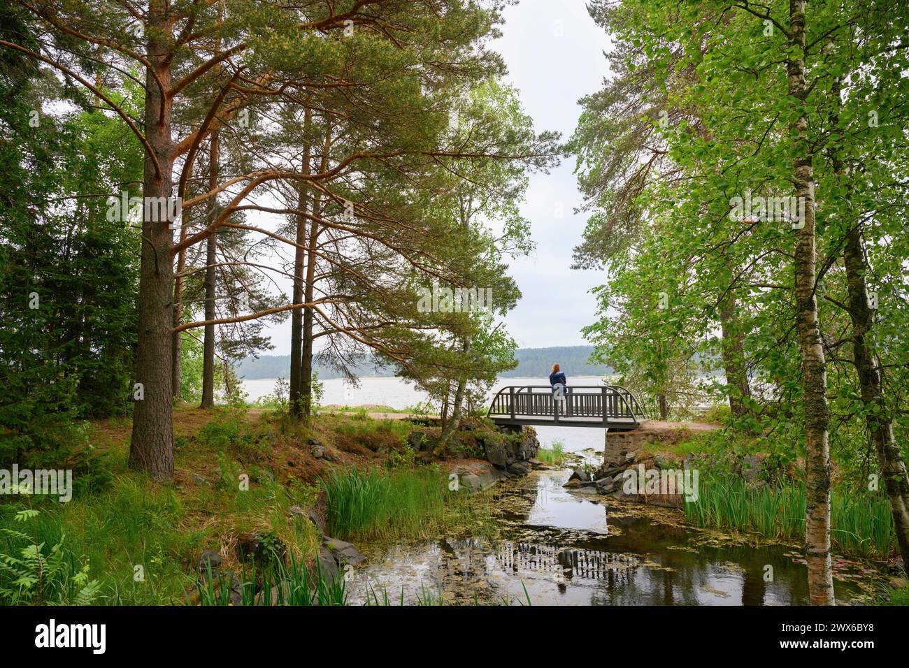 A woman on a bridge in the forest over a stream flowing into Lake ...