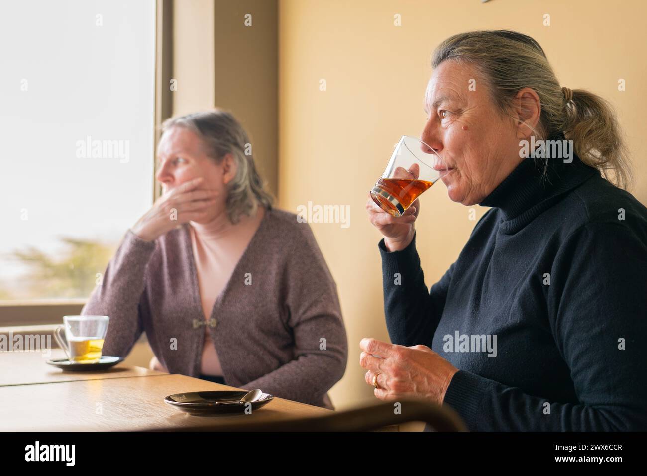 Mature women drinking tea together hi-res stock photography and images ...