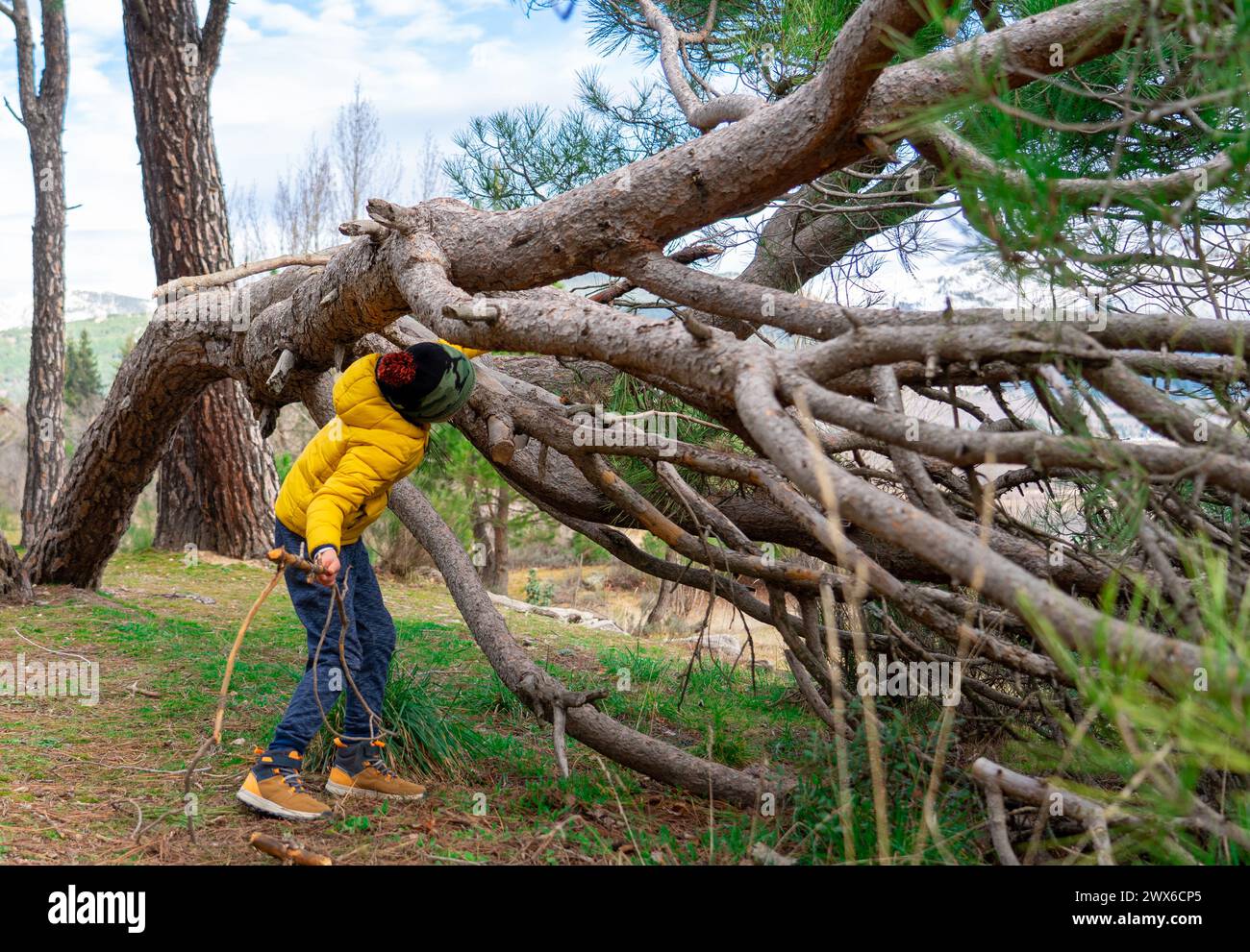 Boy playing with tree branches in nature Stock Photo - Alamy